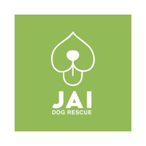 Charity Work | The Vet in St Margarets